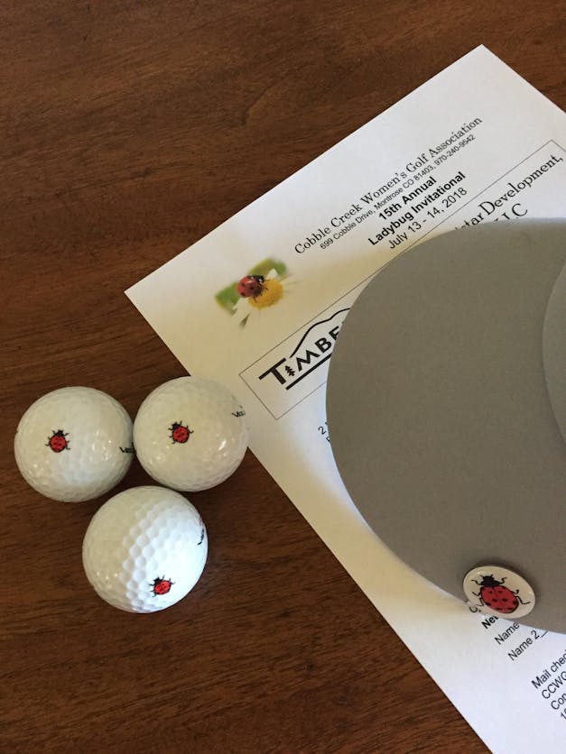 Ladybug Golf Ball Markings | Stamp Your Golf Balls – Golfdotz