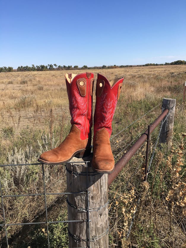 Beck Cowboy Boots