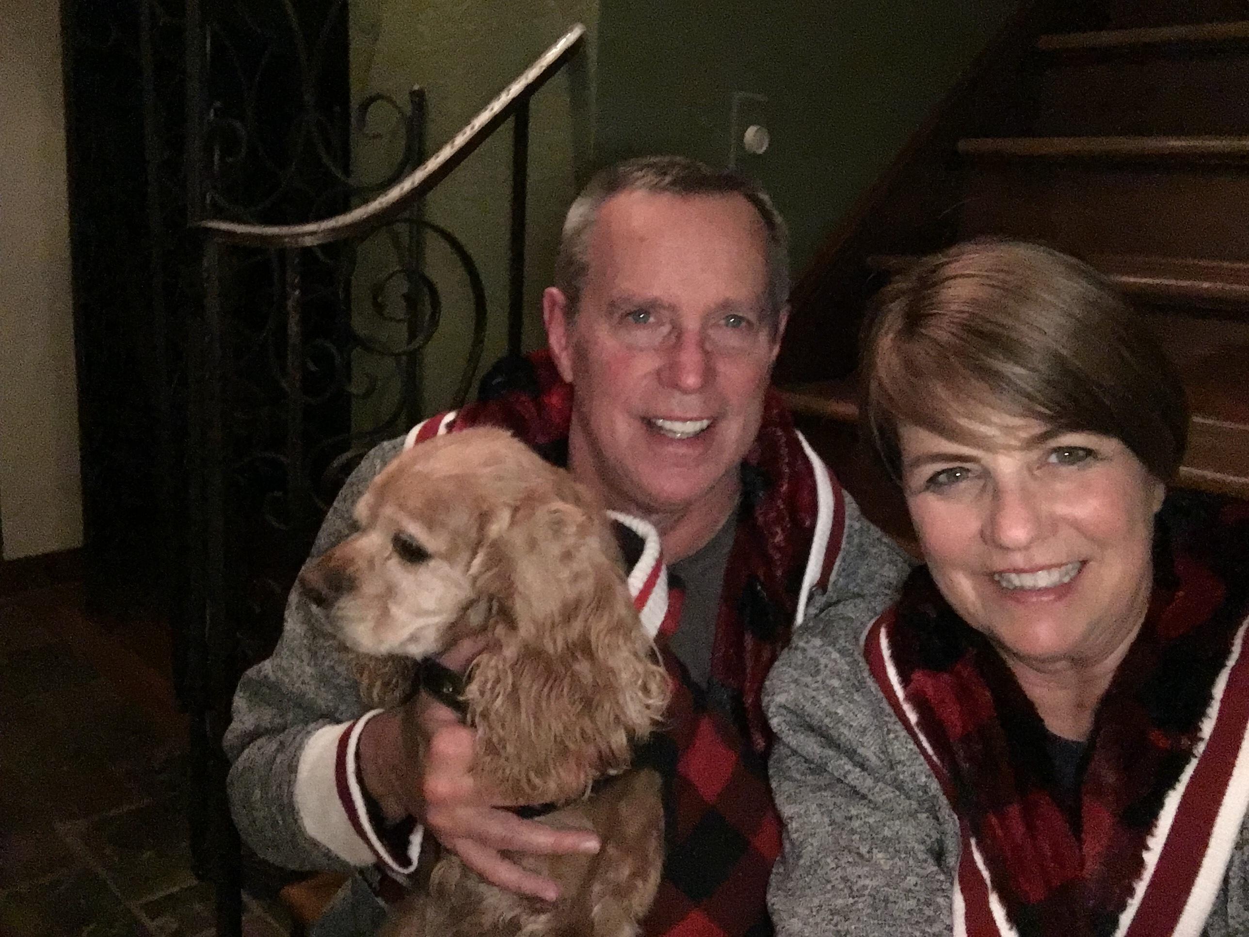 Pook Reviews | Customer Service Reviews of Pook | https://shop.pook.ca