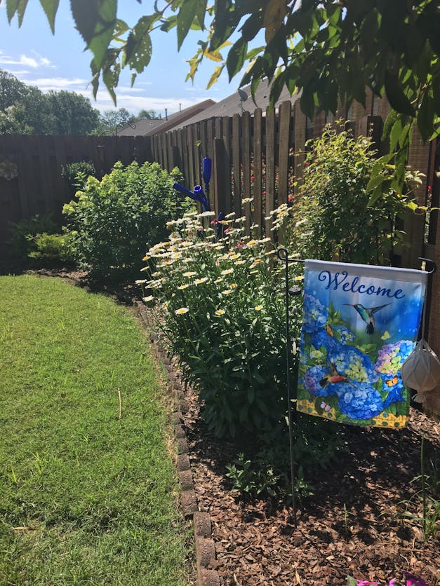 Home - Southern Bottle Trees, Lawn and Garden Decorations – bottletree